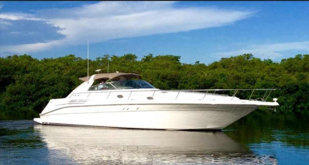 Sea Ray Sun Dancer de 46 pies para 17 personas por 8 horas - Maya ...